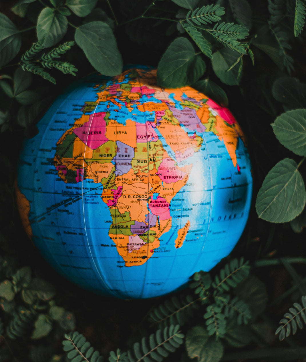 SteamaCo and Odyssey Energy Solutions Partnership – Odyssey Procure